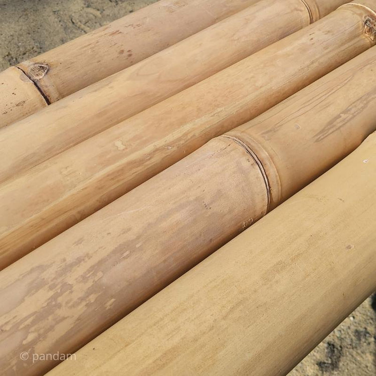 Canne di bambù da 1 a 4 metri – Pandam Bambu