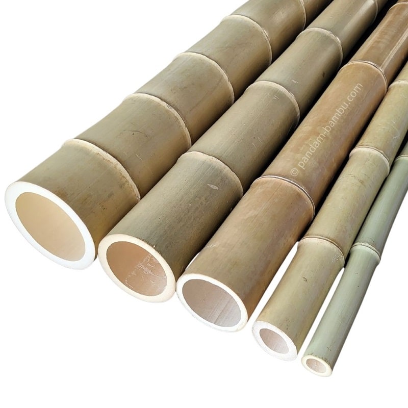 Canne di bambù da 1 a 4 metri – Pandam Bambu